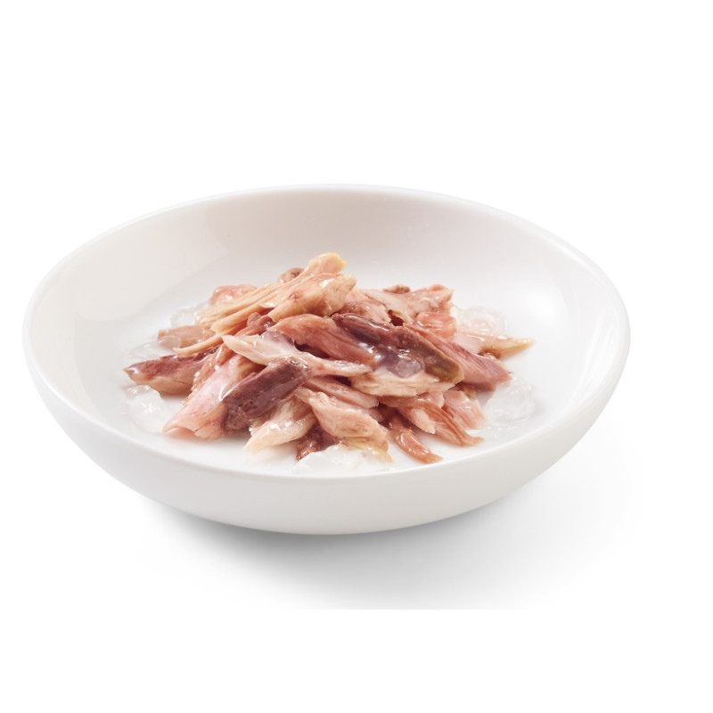 SCHESIR Cat Tuna with Beef Fillets, 85g - tuncis un liellopa fileja želejā
